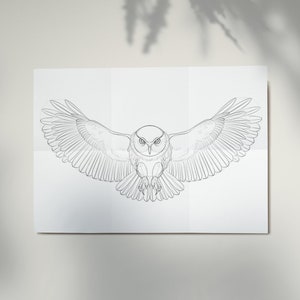 Procreate Owl Stamp | 3 Template Procreate Brushes | Procreate Stamp ...