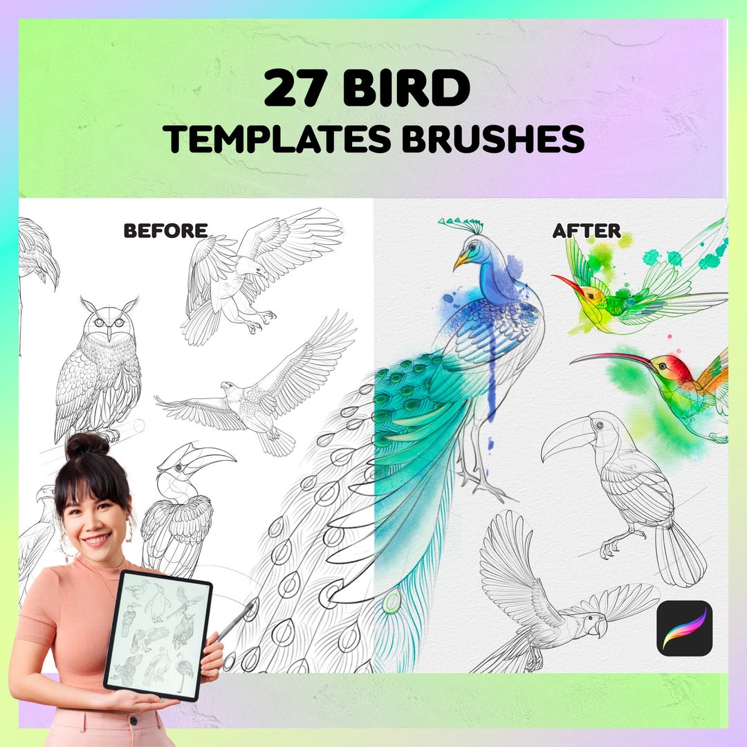 Bird Procreate Brush | 27 Bird Brushes for Procreate, Drawing Template ...