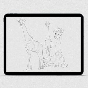 Procreate Giraffe Stamp | 3 Template Procreate Brushes | Procreate Stamp | Drawing Guide ...