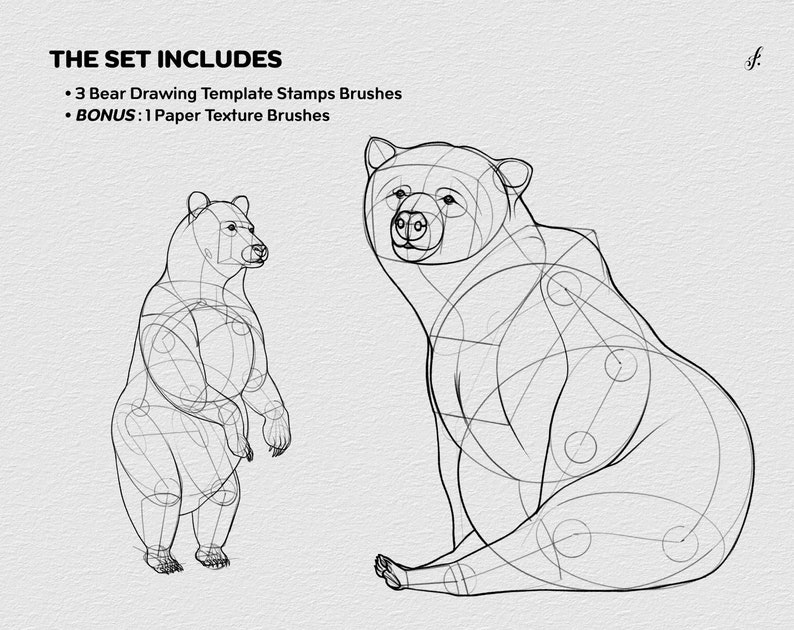 Procreate Bear Stamp | 3 Template Procreate Brushes |procreate Stamp ...