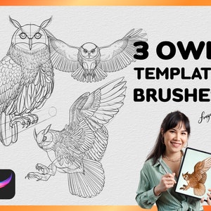 Procreate Owl Stamp 3 Template Procreate Brushes Procreate - Etsy
