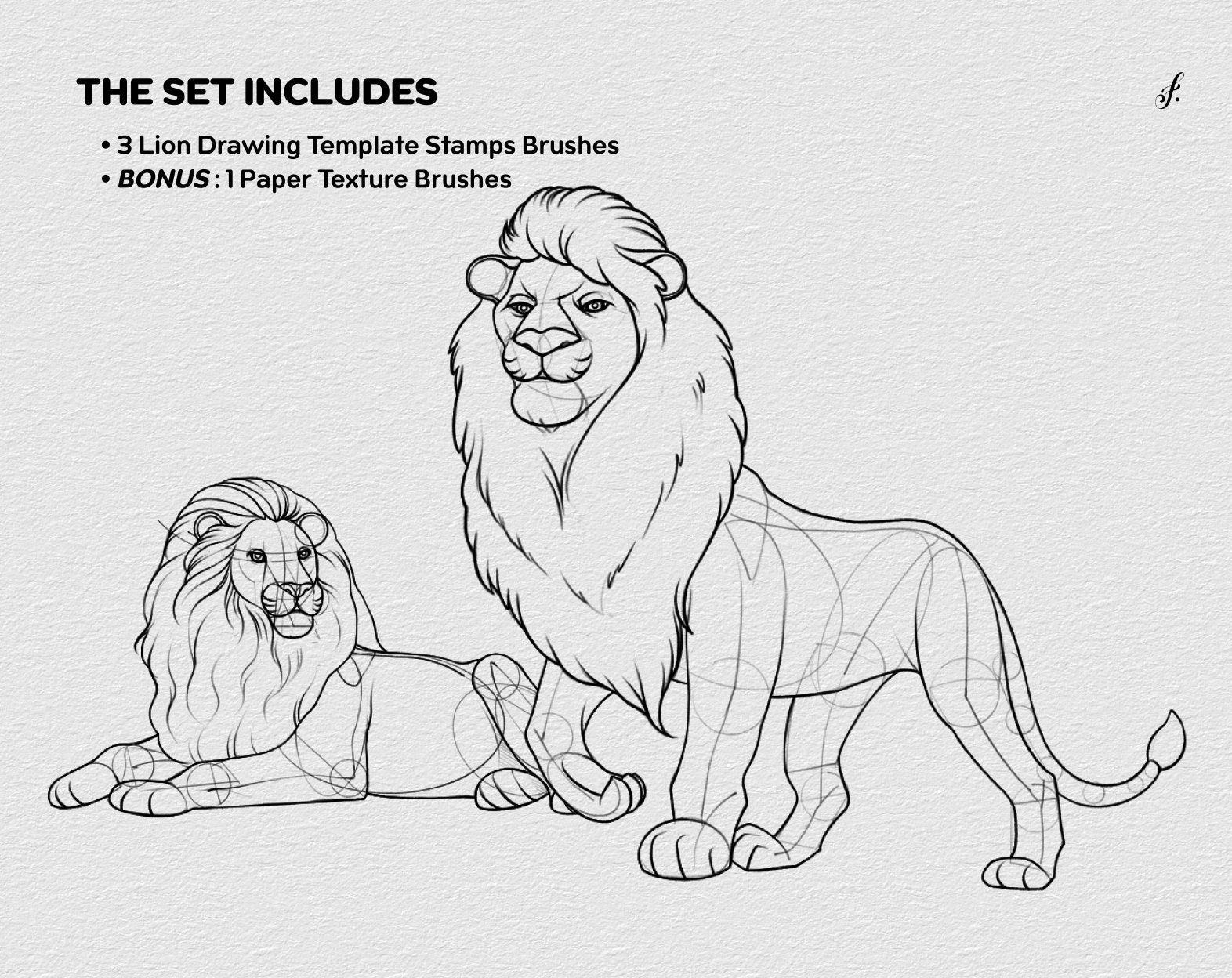 Lion Outline Template