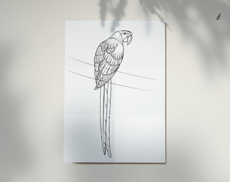 Procreate Parrot Stamp | 4 Template Procreate Brushes | Procreate Stamp ...