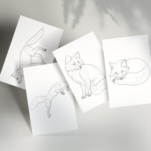 Procreate Fox Stamp | 4 Template Procreate Brushes | Procreate Stamp | Animal Drawing Guide ...