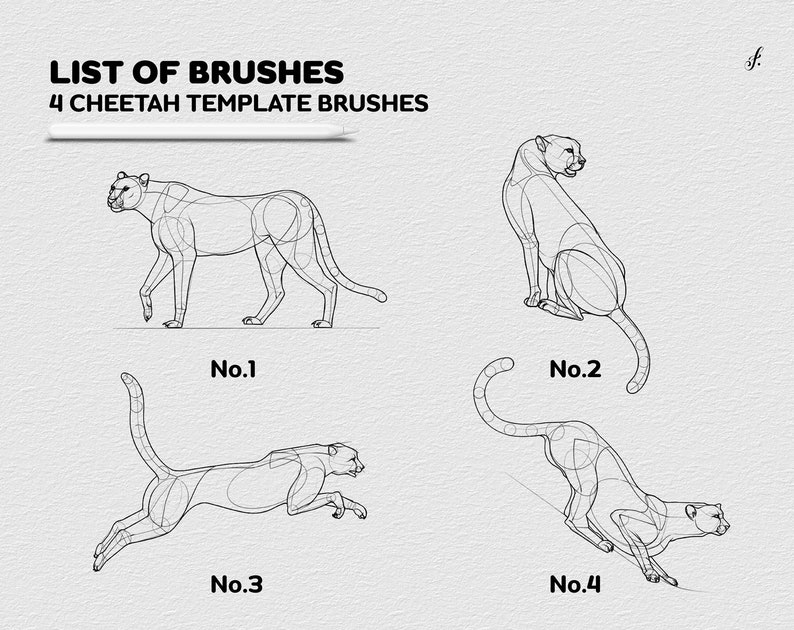 Procreate Cheetah Stamp 4 Template Procreate Brushes Stamp - Etsy