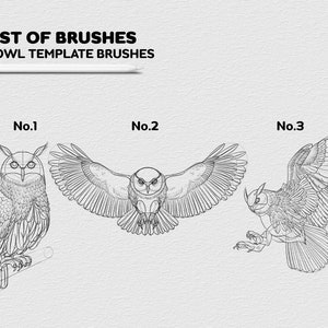 Procreate Owl Stamp 3 Template Procreate Brushes Procreate - Etsy