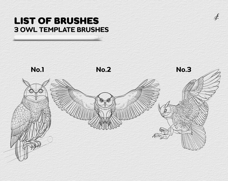 Procreate Owl Stamp 3 Template Procreate Brushes Procreate - Etsy