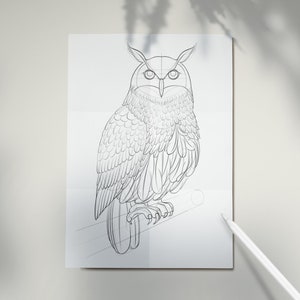 Procreate Owl Stamp | 3 Template Procreate Brushes | Procreate Stamp ...