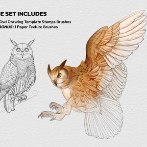 Procreate Owl Stamp | 3 Template Procreate Brushes | Procreate Stamp ...