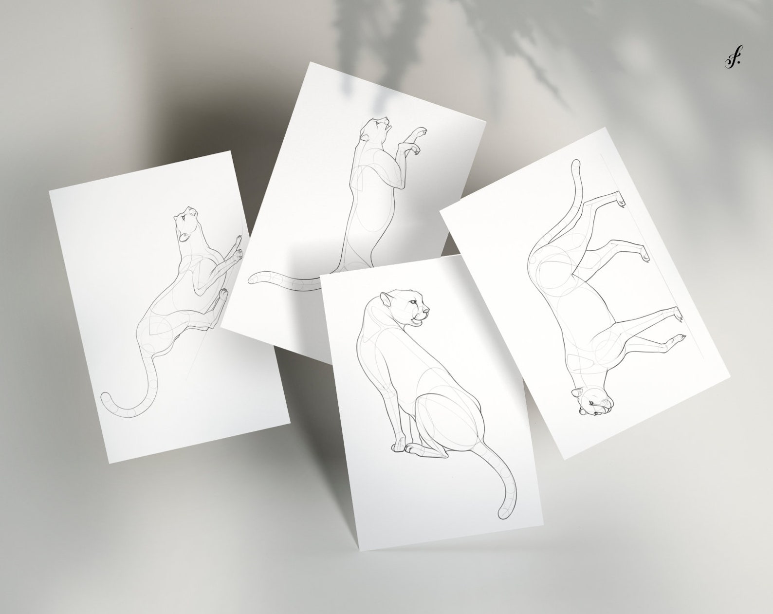 Procreate Cheetah Stamp | 4 Template Procreate Brushes | Stamp ...