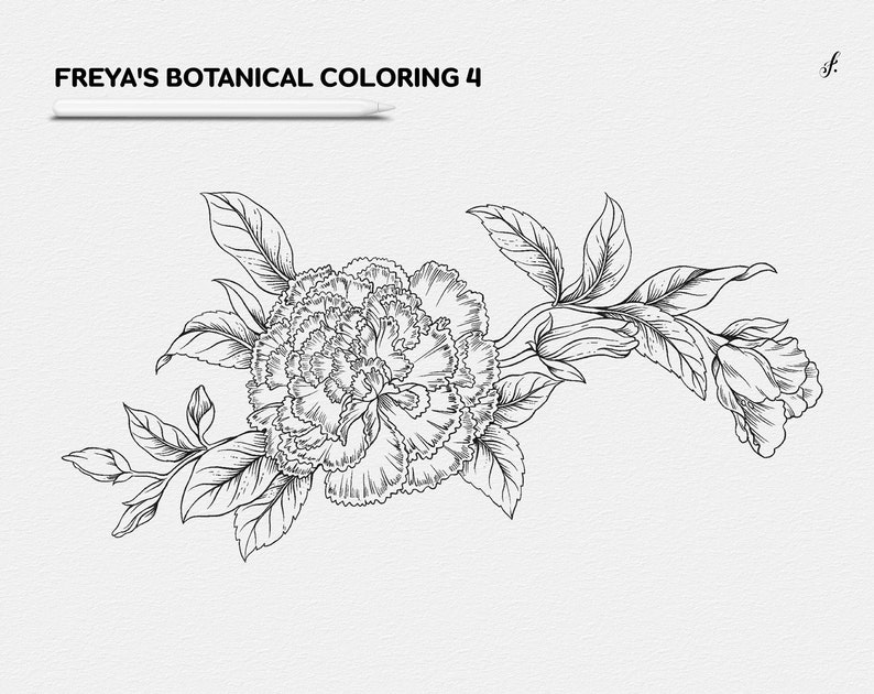 Procreate Floral Coloring Page, Garden Coloring Page 4, Relaxation ...