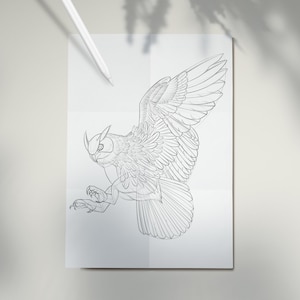 Procreate Owl Stamp | 3 Template Procreate Brushes | Procreate Stamp ...