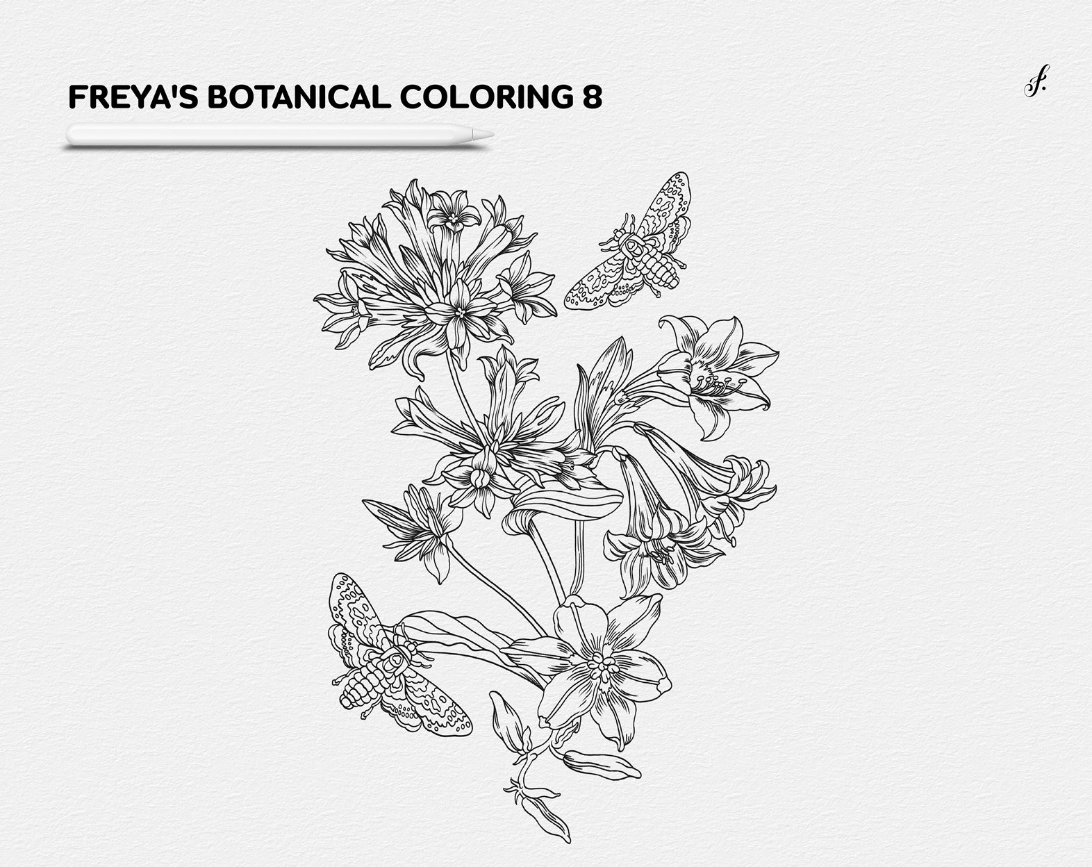 Procreate Coloring Page Wildflower and Butterfly, Adult Coloring Sheet ...