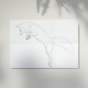 Procreate Fox Stamp | 4 Template Procreate Brushes | Procreate Stamp | Animal Drawing Guide ...