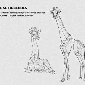 Procreate Giraffe Stamp | 3 Template Procreate Brushes | Procreate Stamp | Drawing Guide ...