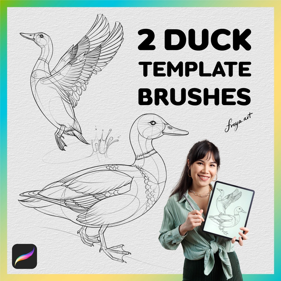 Procreate Duck Stamp | 2 Template Procreate Brushes | Procreate Stamp ...