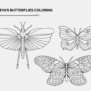 Procreate Butterflies Coloring Page, Freya's Butterflies Coloring Sheet ...
