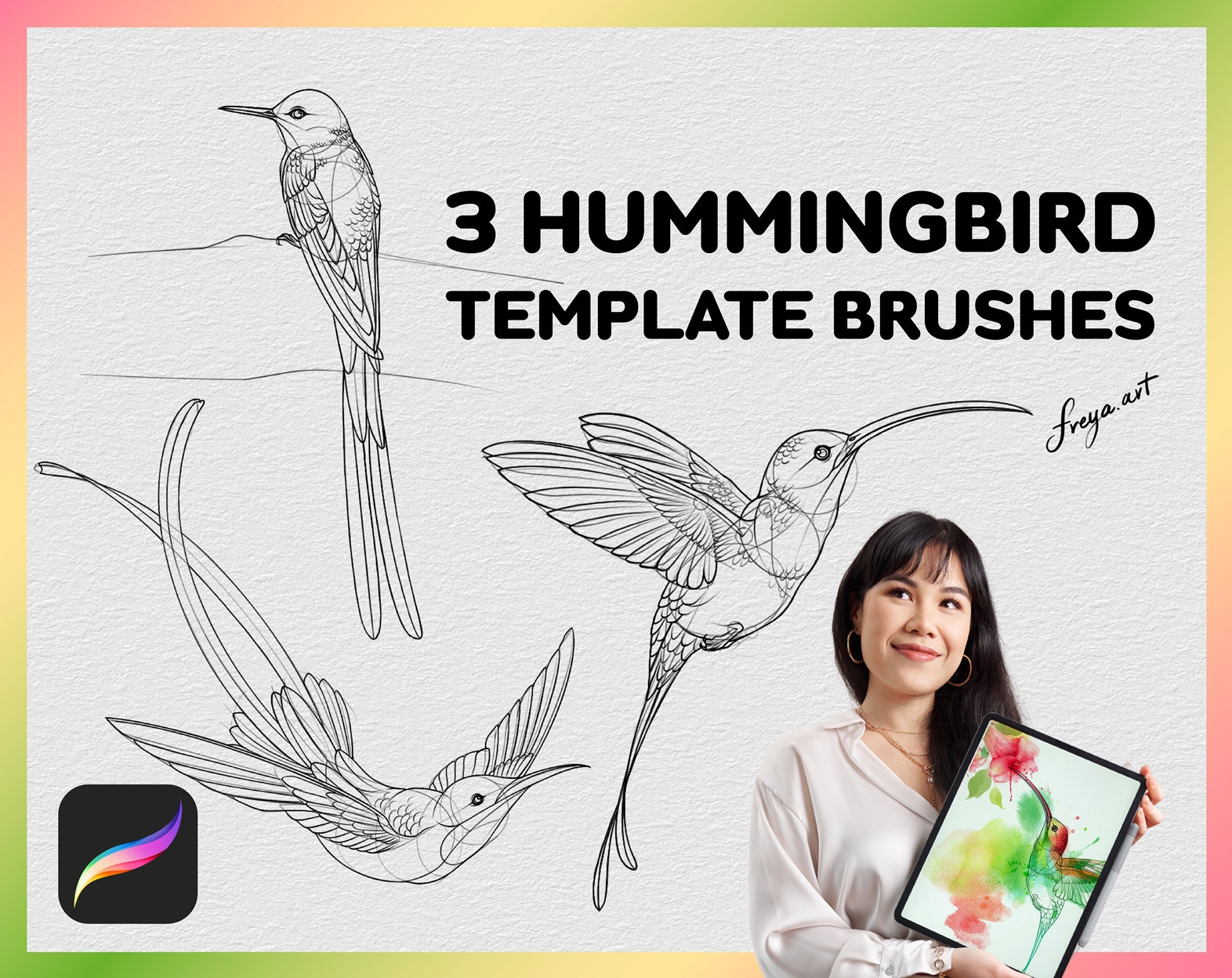 Procreate Hummingbird 3 Bird Procreate Brushes Bird Stamps - Etsy