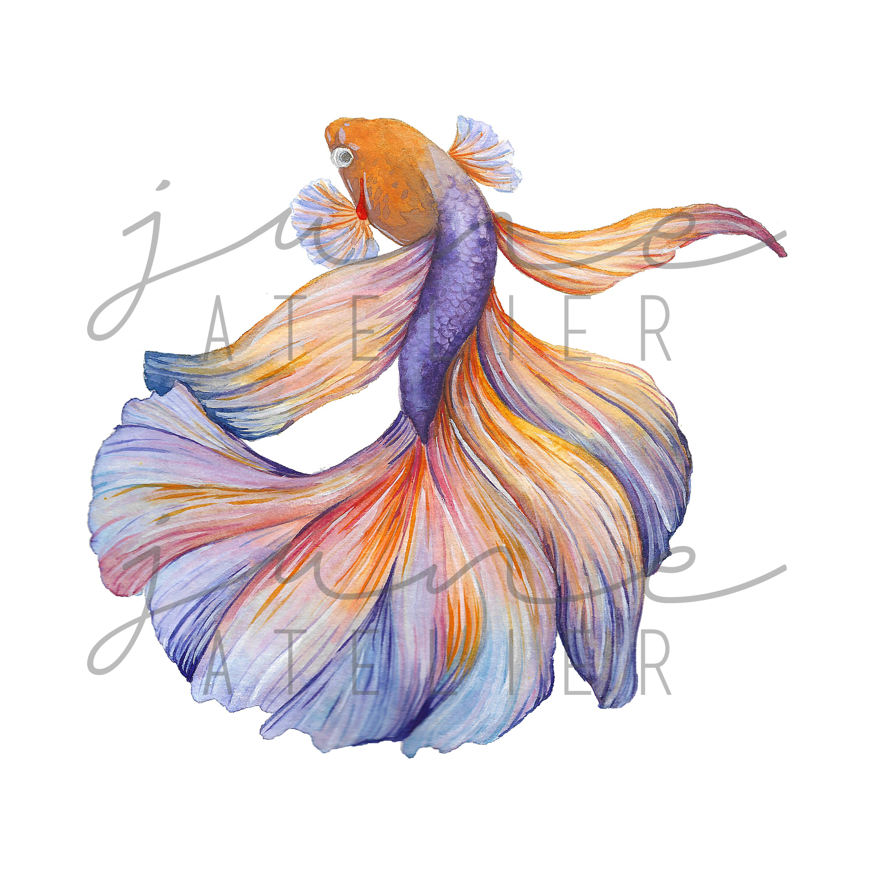 Downloadable Watercolor Art Print Betta Fish - Etsy