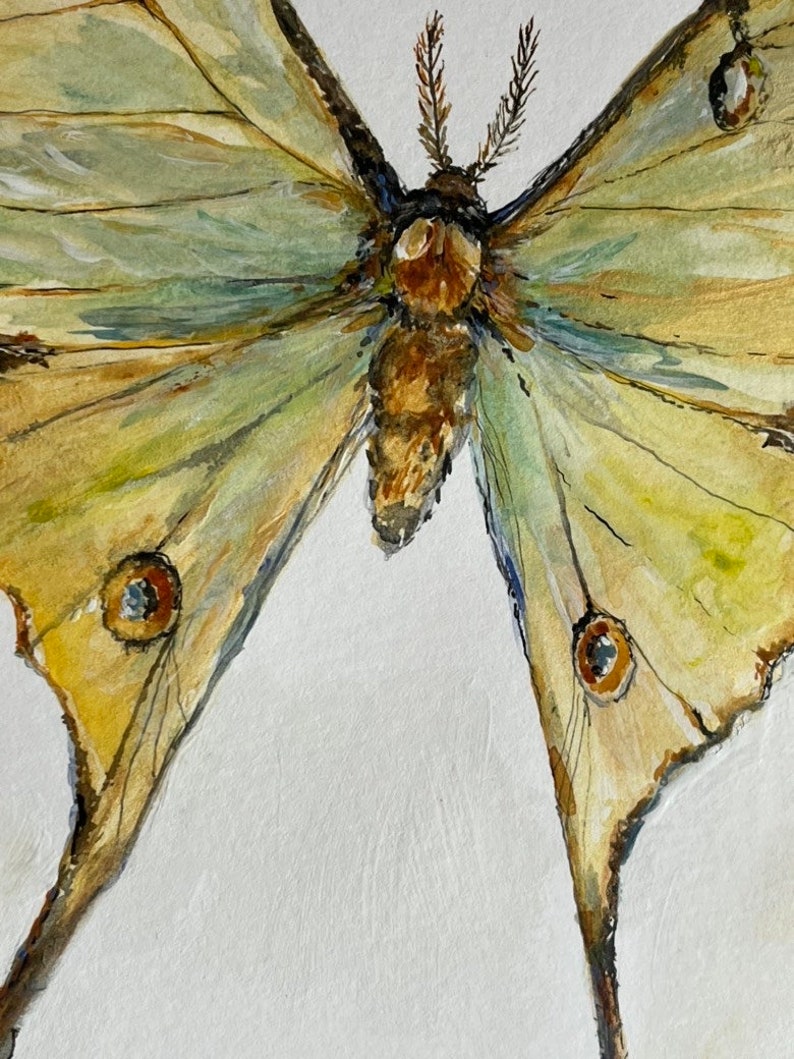 Original “lunar Moth” (2023 Calendar) - Etsy