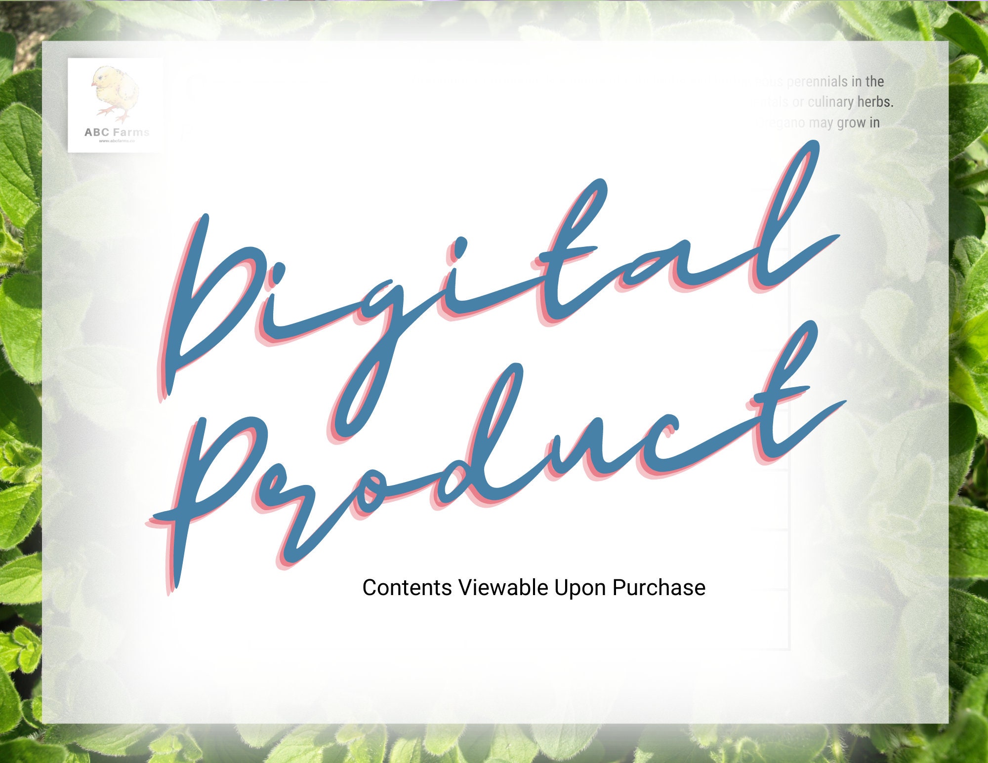 Lemari Bugs Begone Container Garden Design - Etsy