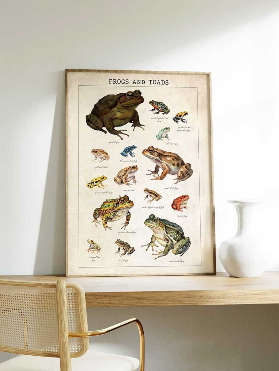 Frogs and Toads Illustration Print Frogs Toads Species - Etsy