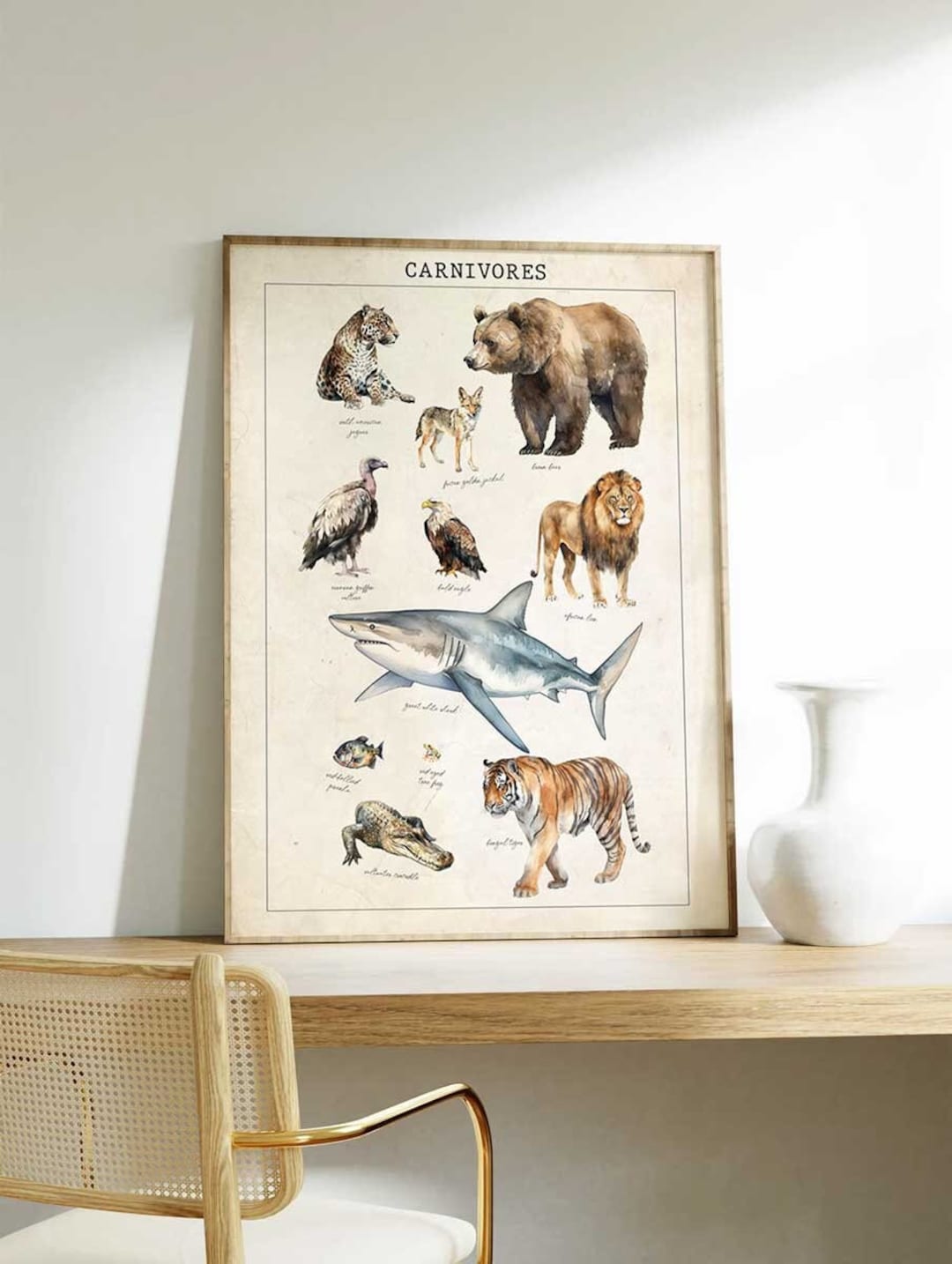 Carnivores Illustration Print Carnivore Species Poster - Etsy