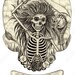 Scarry Skeleton Leo Zodiac Sign Cross Stitch Pattern Digital PDF - Etsy