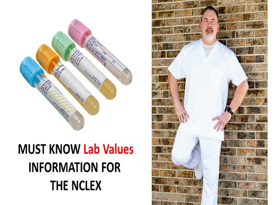 Must Know Lab Values for the NCLEX - Etsy