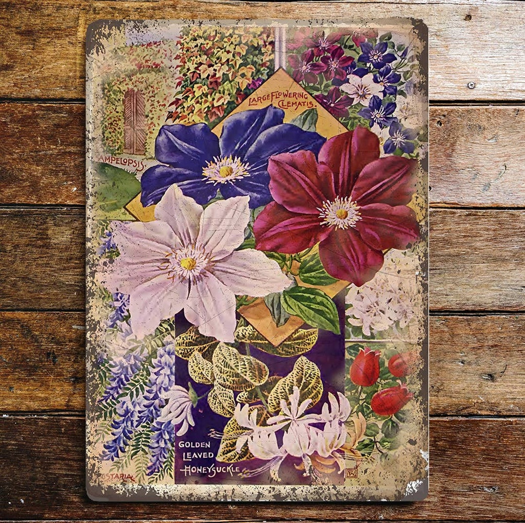 Clematis Flower Botanical Metal Wall Sign Plaque - Etsy UK
