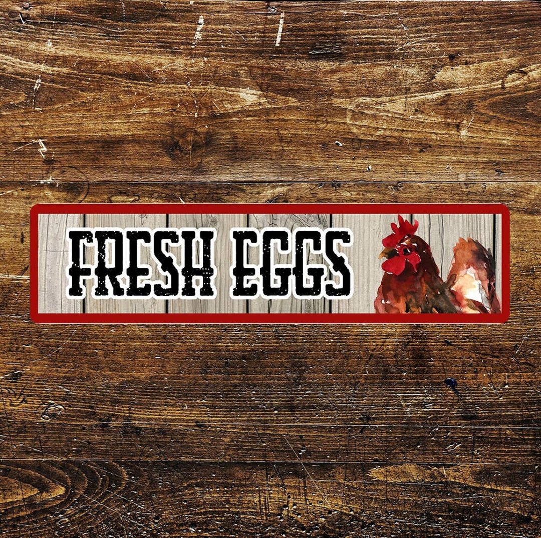 Placa de letrero metálico de gallina y pollo huevos frescos - Etsy España