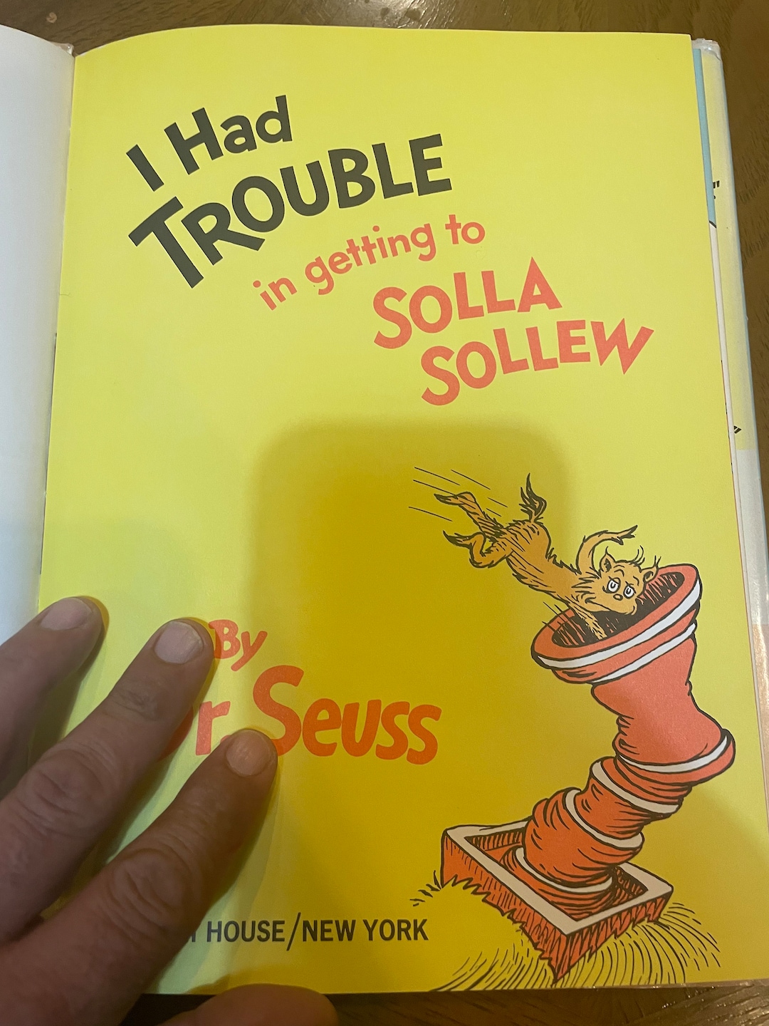 Original 1965 Dr. Seuss "i Had Trouble in Getting to Solla Sollew" Book ...