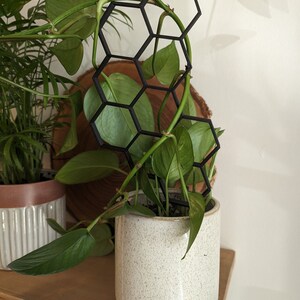 Hexagon Plant Climbing Trellis - House Plant Support Lattice - Etsy