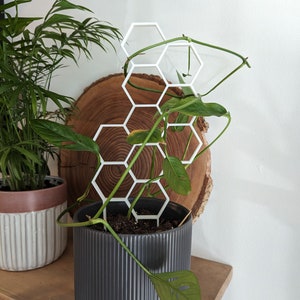 Hexagon Plant Climbing Trellis - House Plant Support Lattice - Etsy