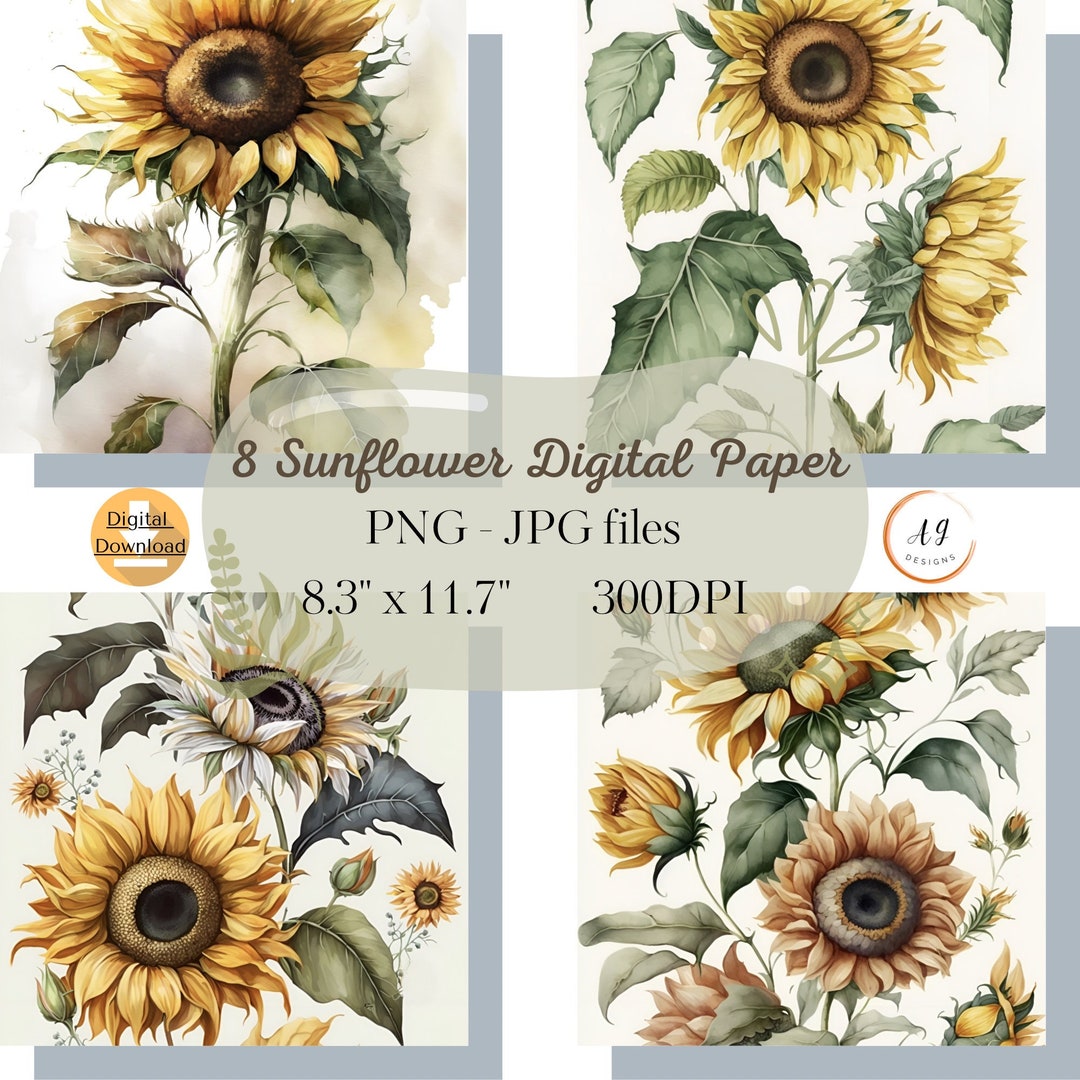 8 Yellow Sunflower Digital Paper Pack, Sunflower Paper, Sunflower ...