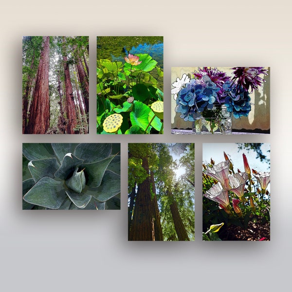 Nature Postcard - Etsy