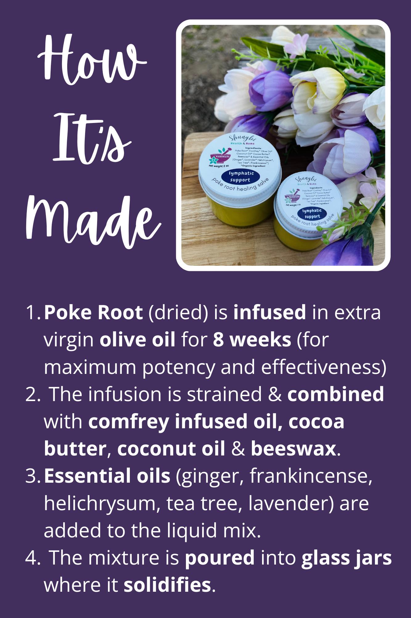 Poke Root Herbal Salve – Organic Botanical Balm With Poke Root, Comfrey ...