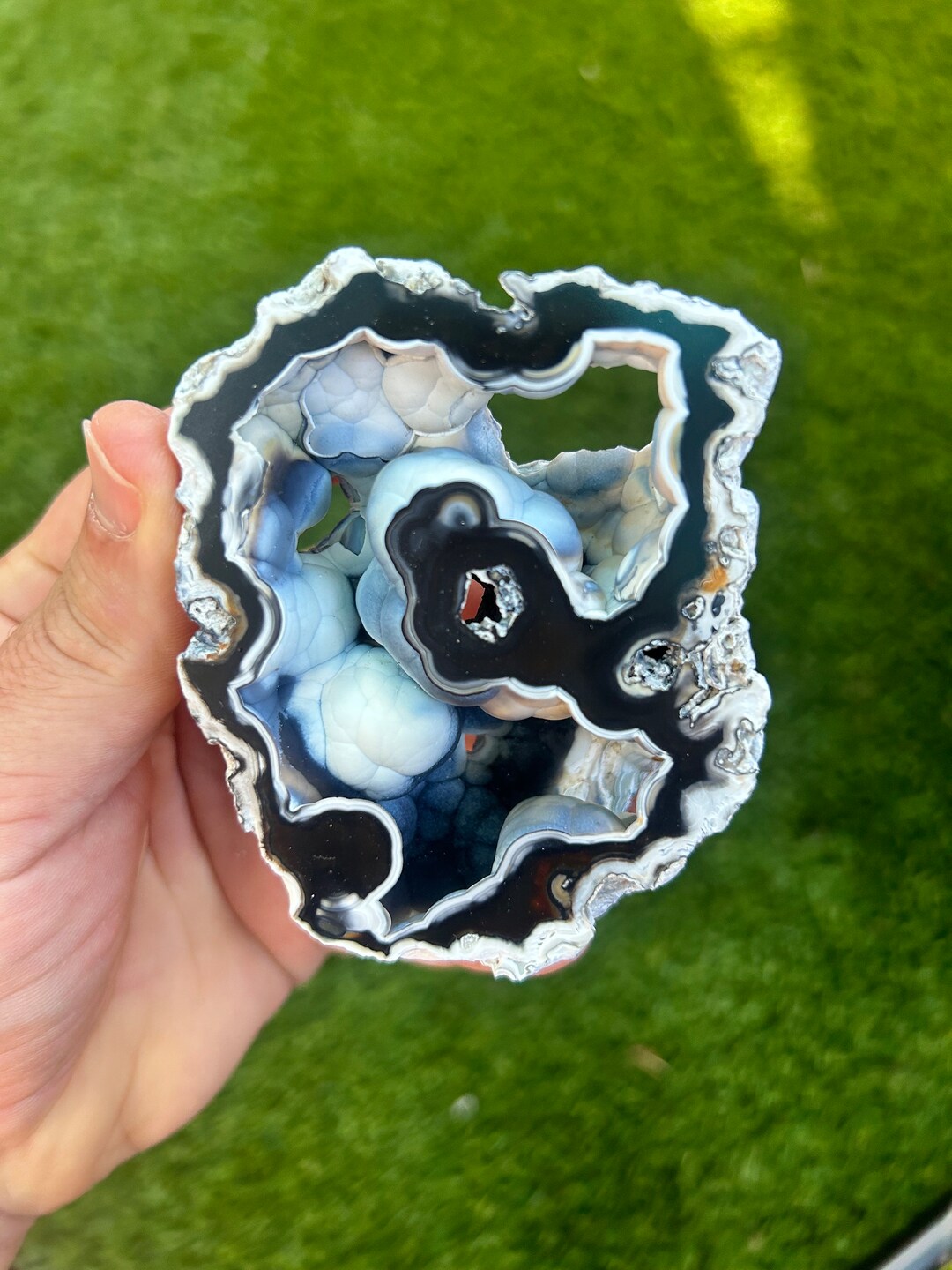 Fossil Agatized Coral Rare Color Geode Cut & Polished - Etsy