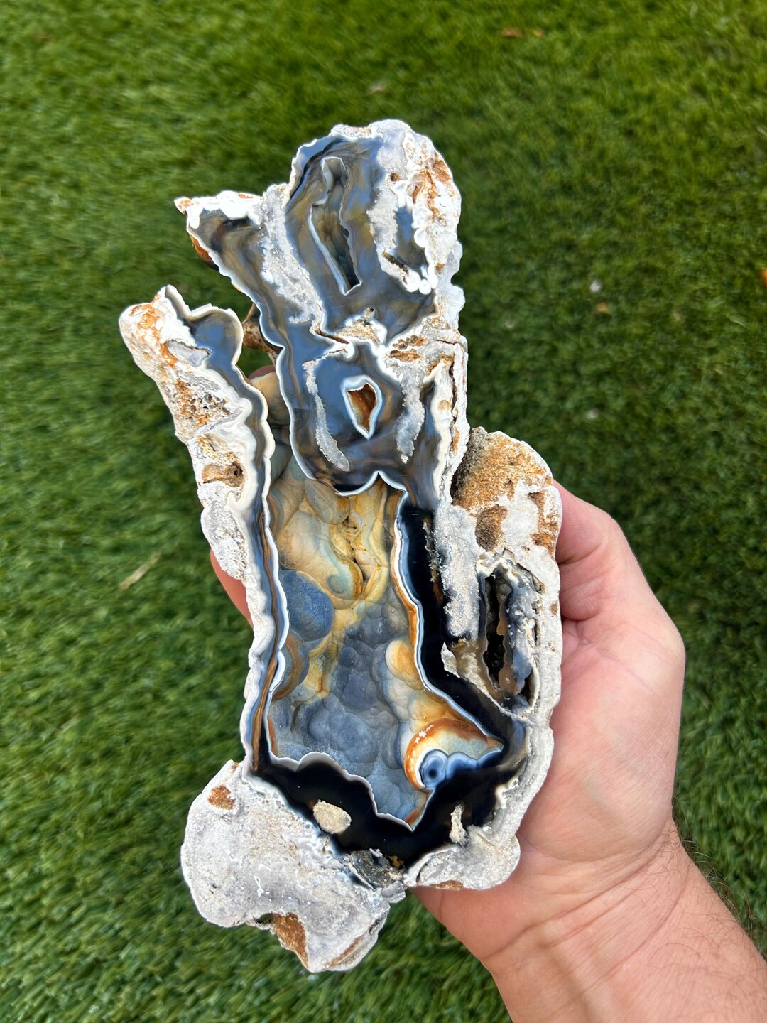 Fossil Agatized Coral Rare Color Geode Cut & Polished - Etsy
