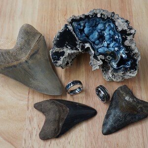 Ancient Ocean Ring - Megalodon Tooth & Fossil Coral Inlay (mixed) - Etsy