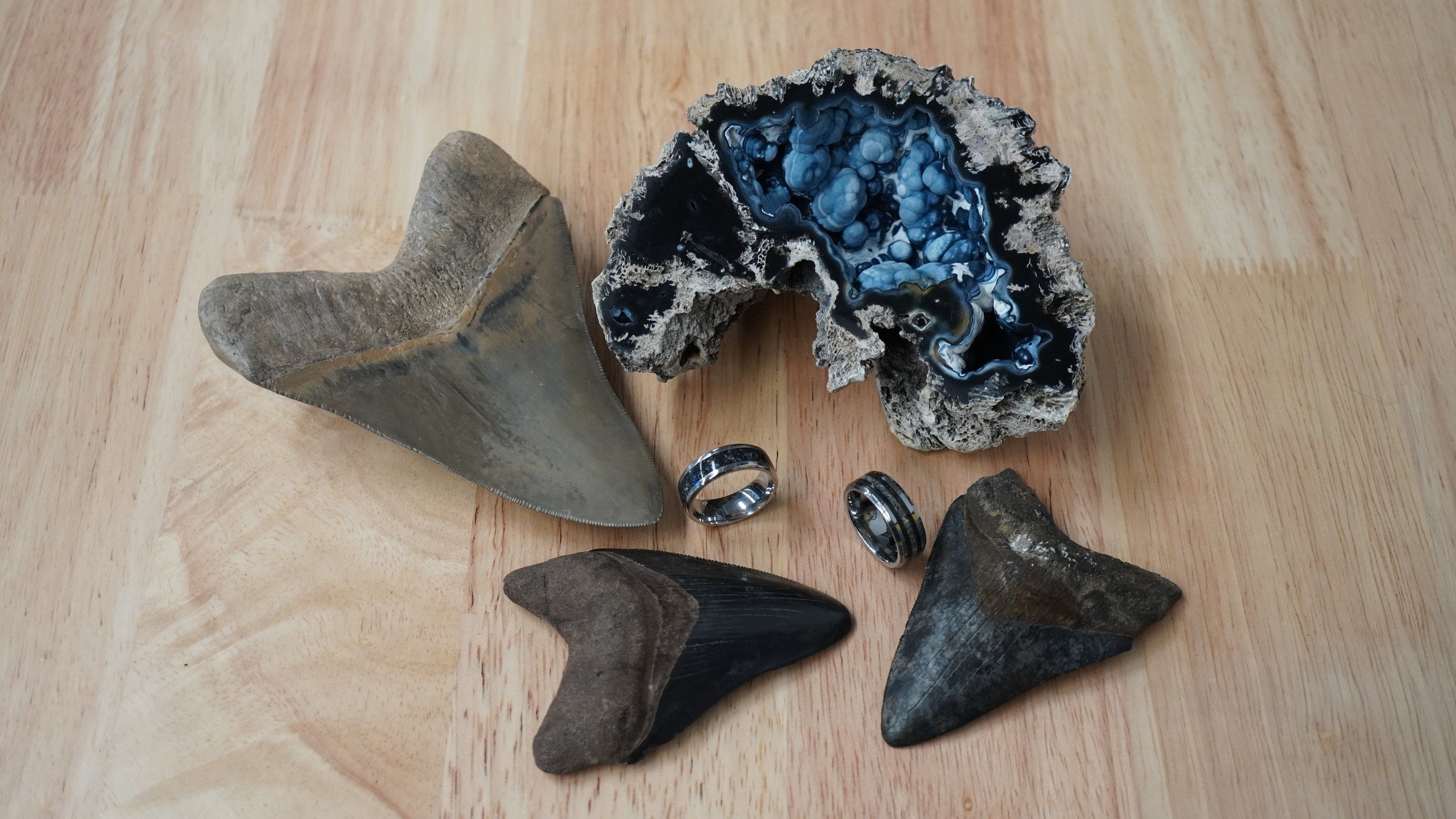 Megalodon Tooth, Fossil Coral, and Opal - Etsy