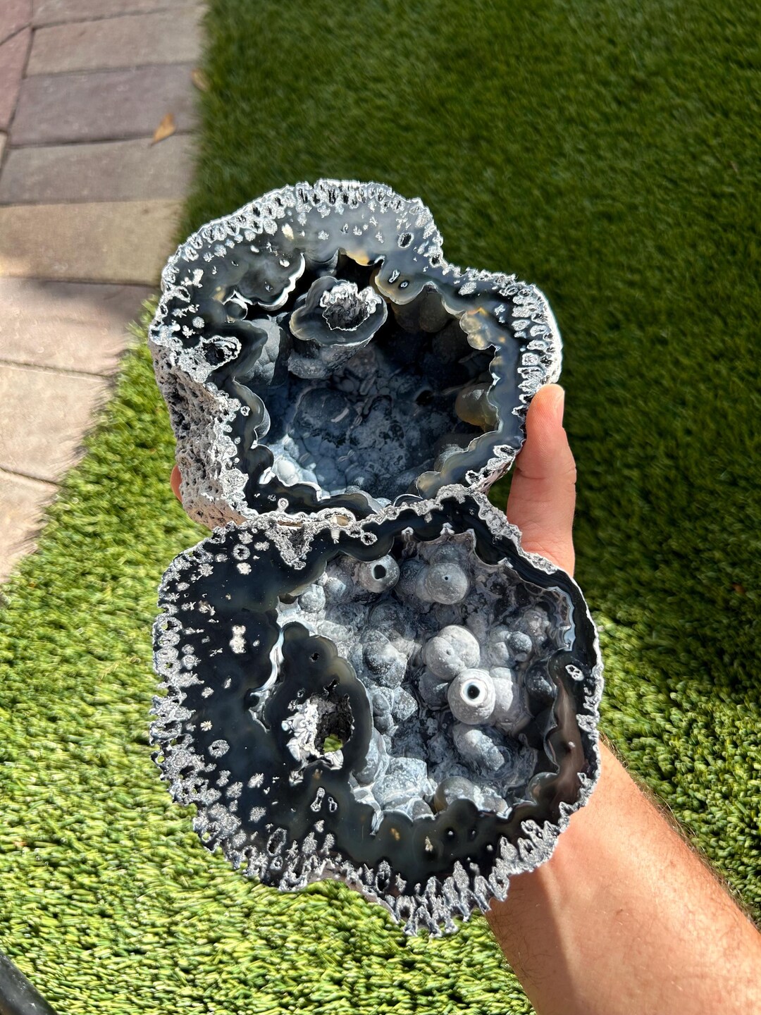 Fossil Agatized Coral Rare Color Geode Cut & Polished - Etsy