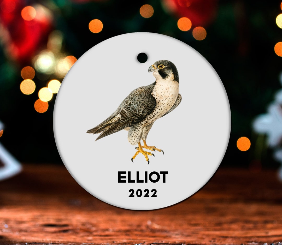 Falcon Christmas Ornament, Personalized Falcon Ornament, Falcon Gift ...
