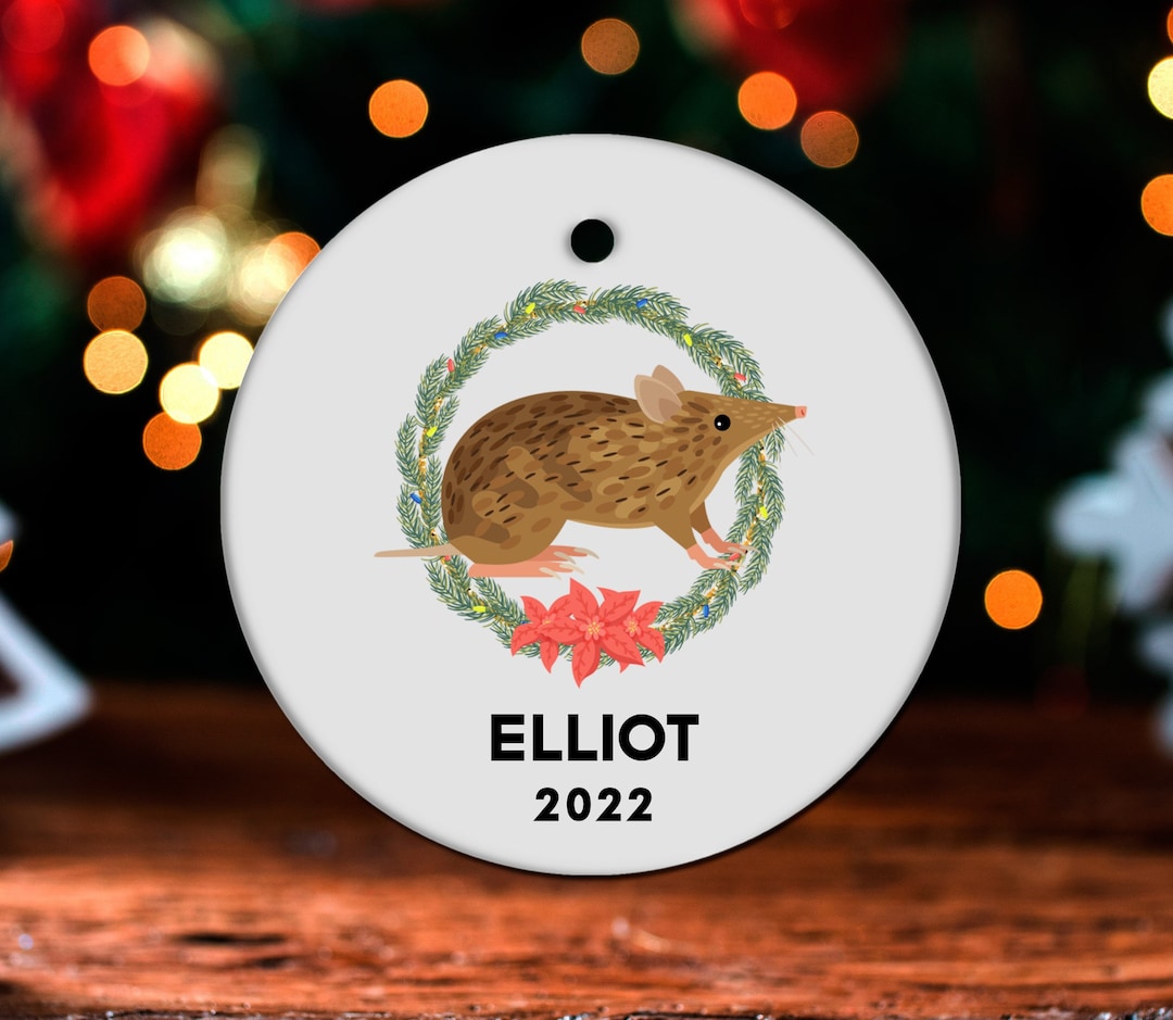 Possum Christmas Ornament, Personalized Possum Ornament, Possum Gift ...