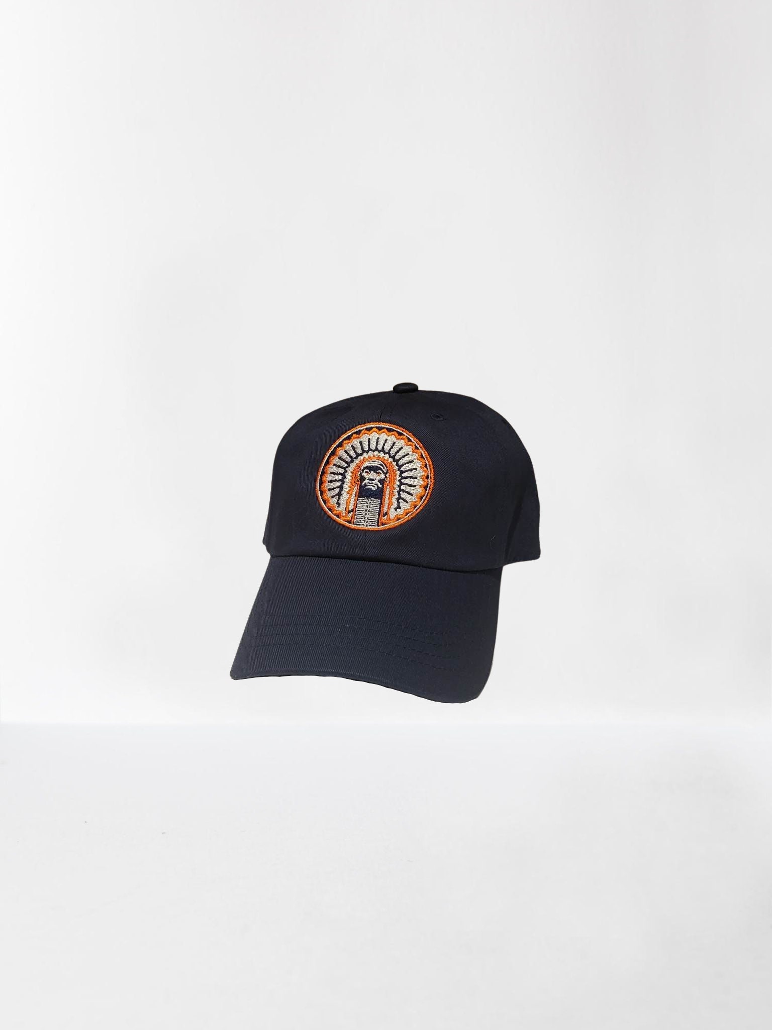 Vintage University of Illinois Hat - Etsy