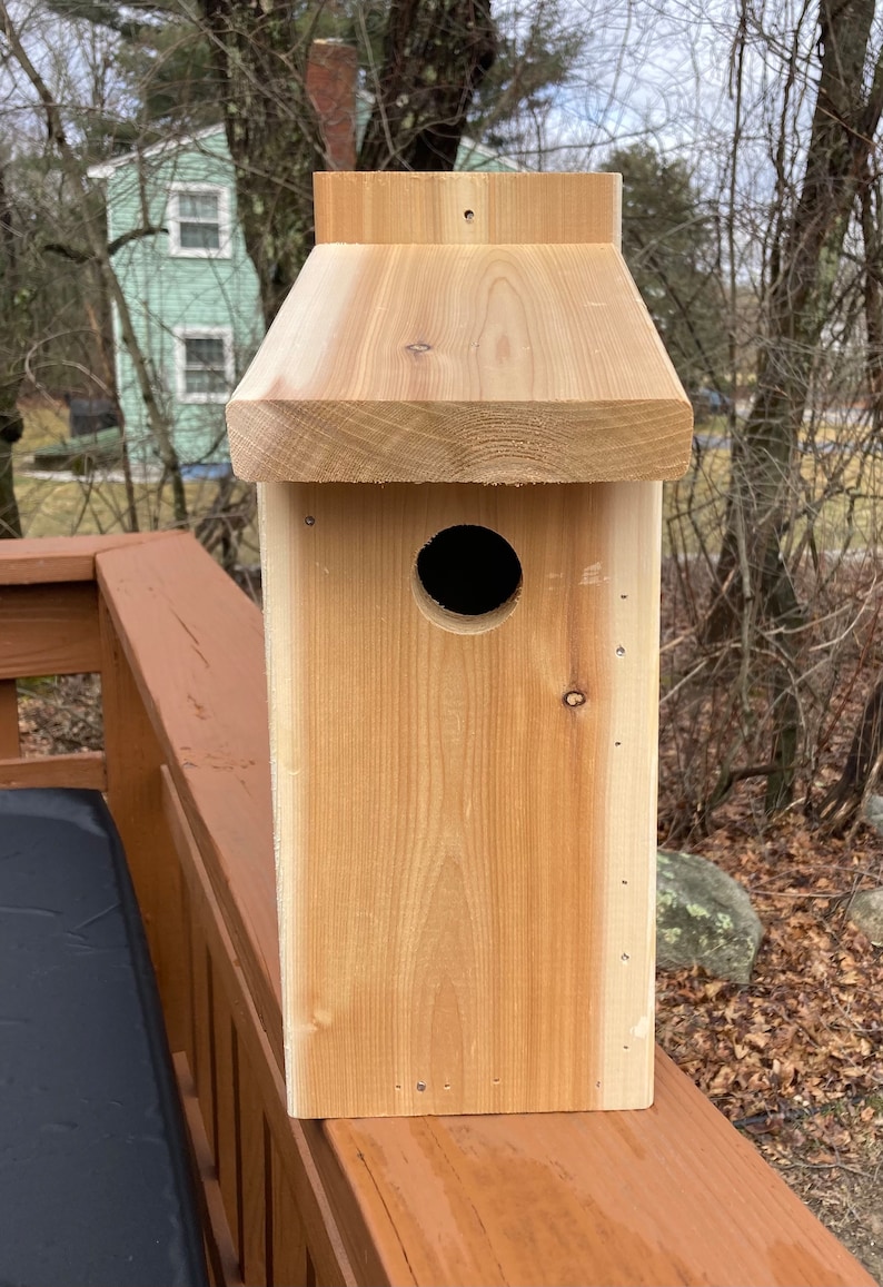 Cedar Bird Box House Bluebird, Chickadee, Wrens, Finches - Etsy