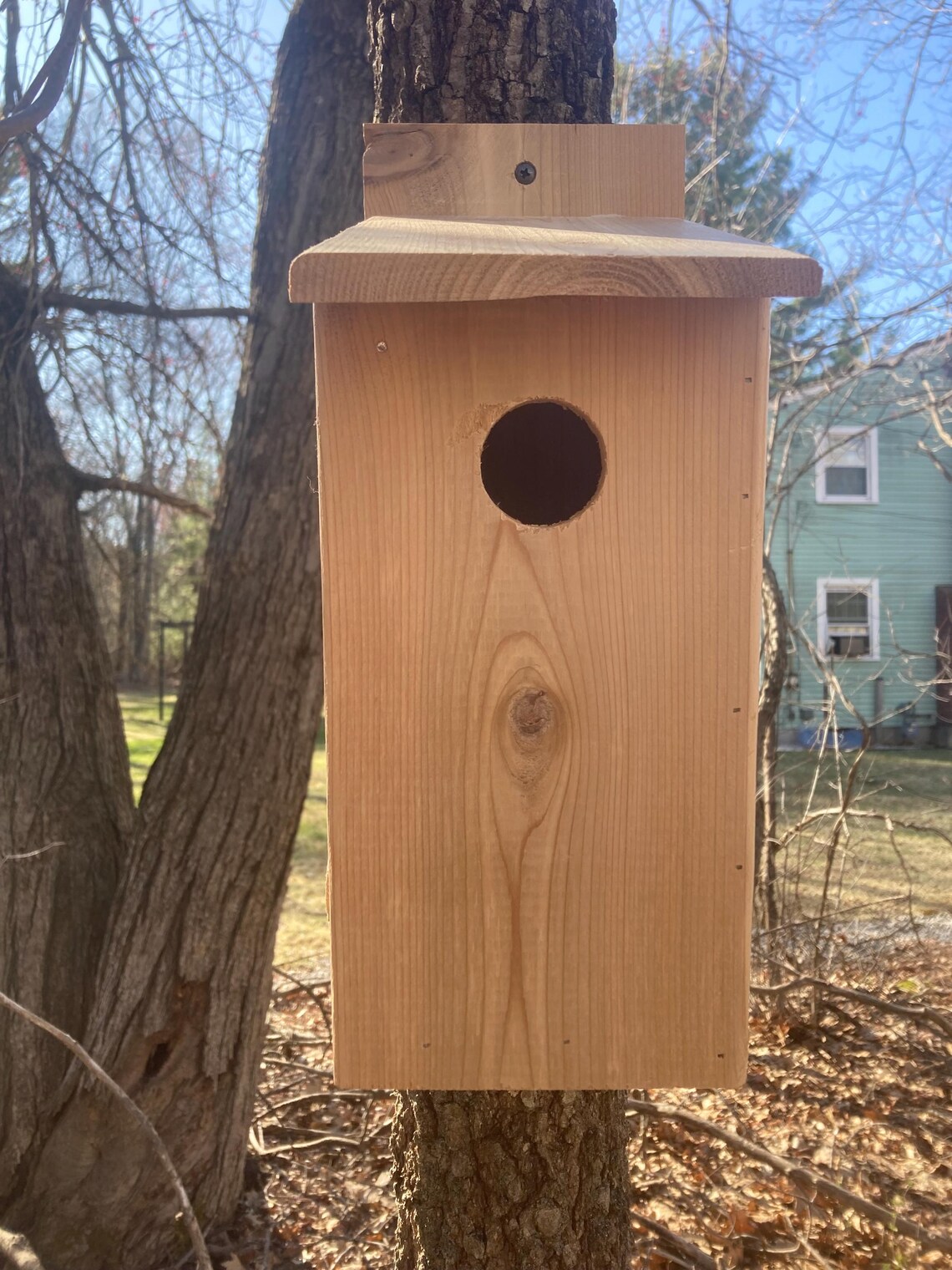 Cedar Bird Box House Bluebird, Chickadee, Wrens, Finches - Etsy