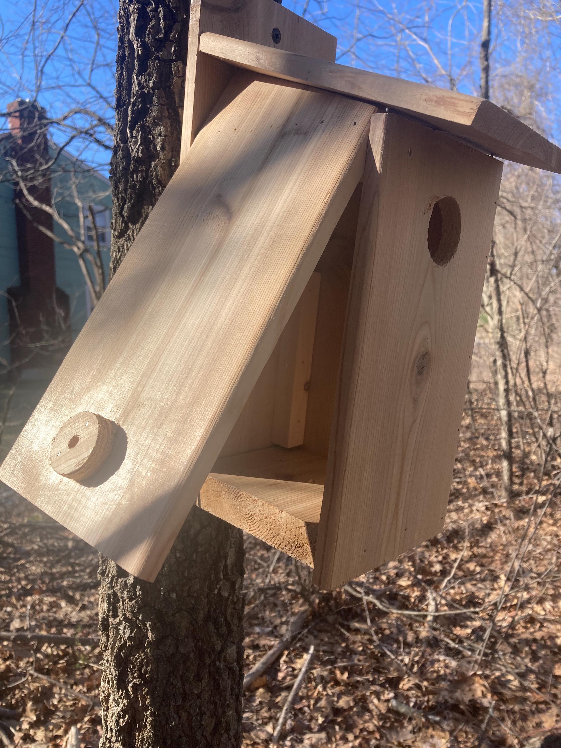 Cedar Bird Box House Bluebird, Chickadee, Wrens, Finches - Etsy