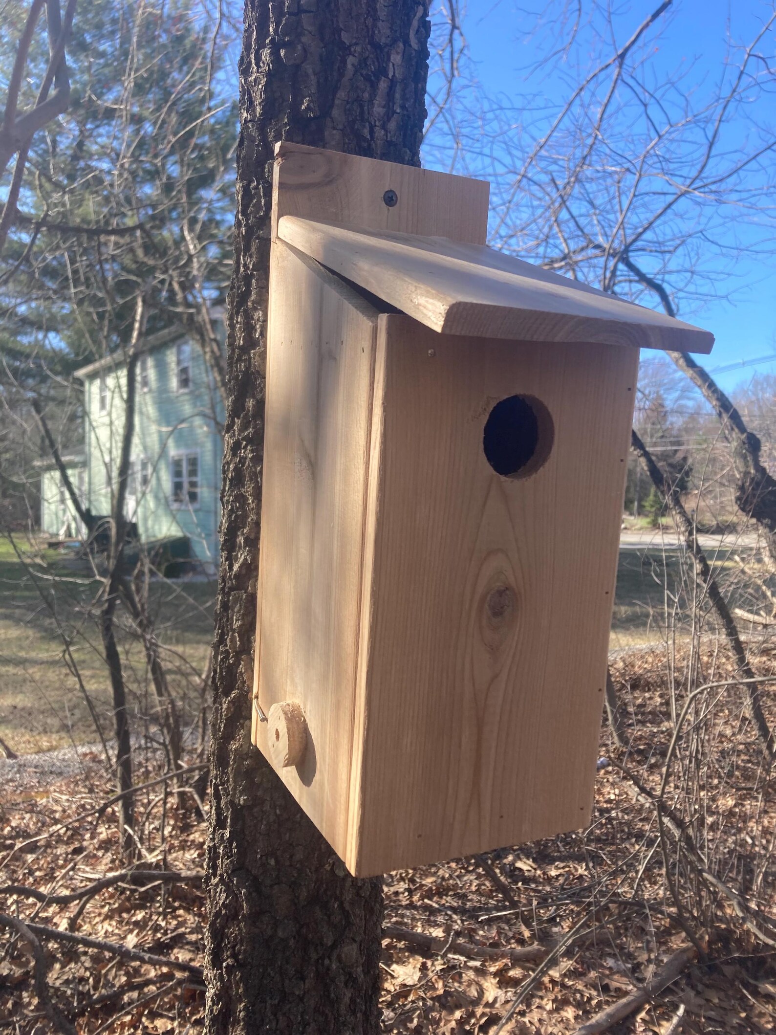 Cedar Bird Box House Bluebird, Chickadee, Wrens, Finches - Etsy
