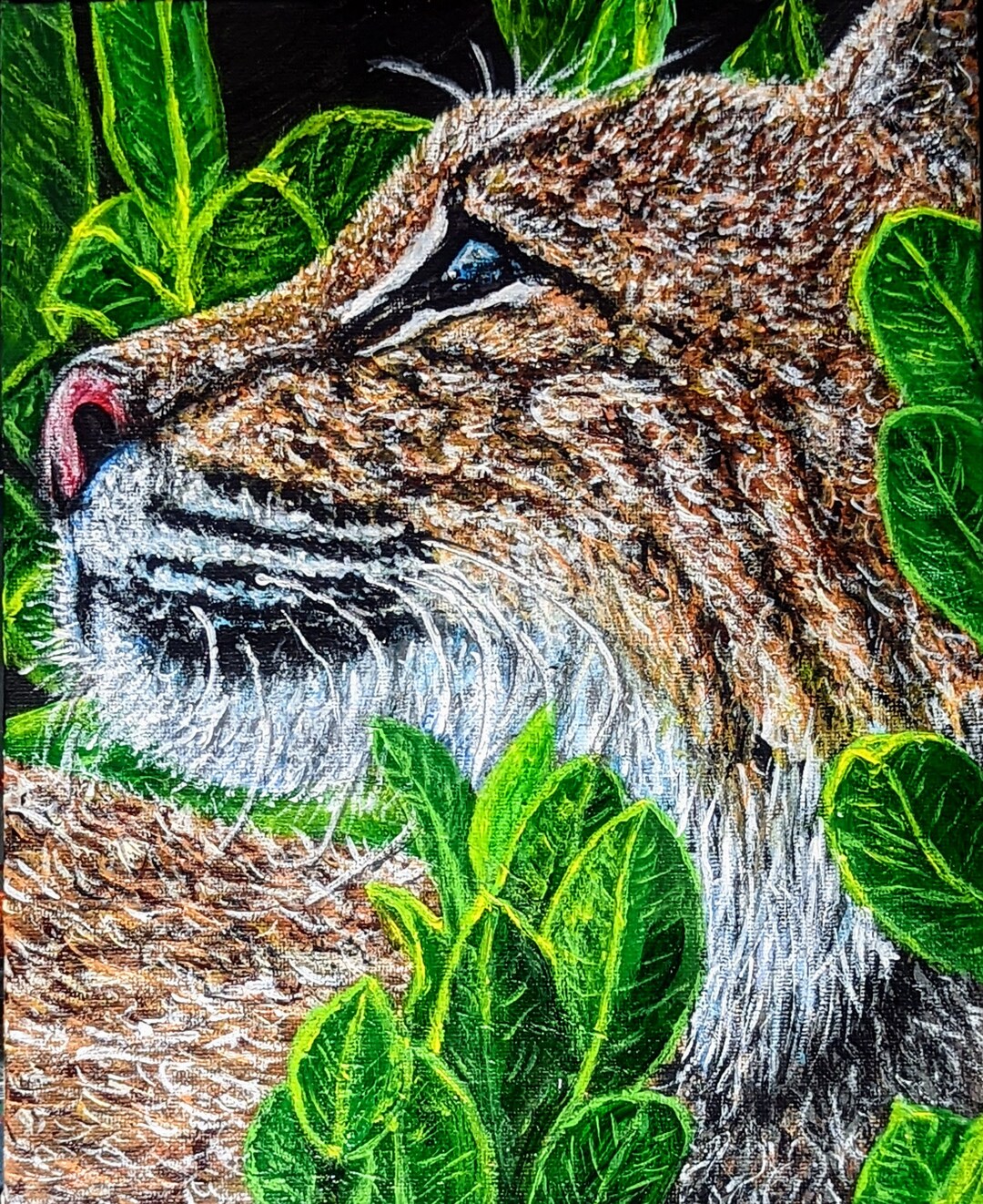 Bobcat in Florida Wilderness, Original Painting Acrylic Art 10x8 - Etsy